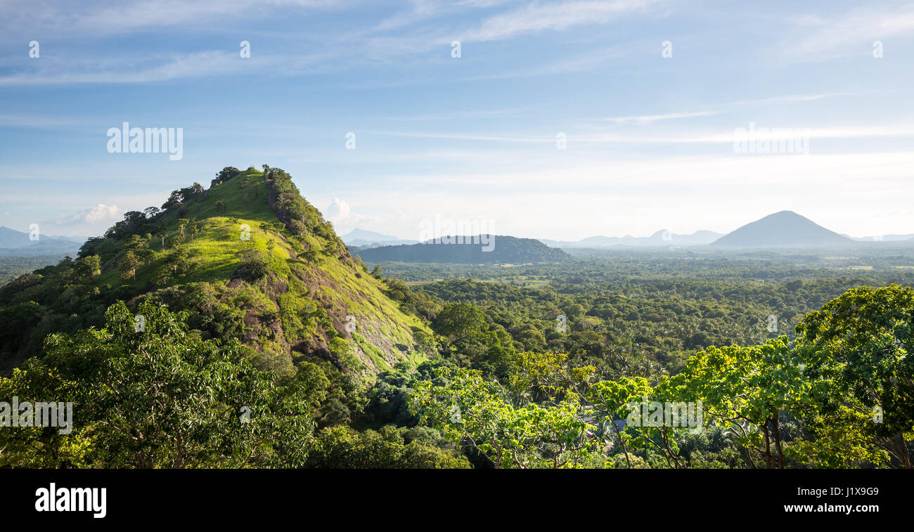 Green valley and blue sky, Ceylon scenery. Landscape of Sri Lanka Stock ...