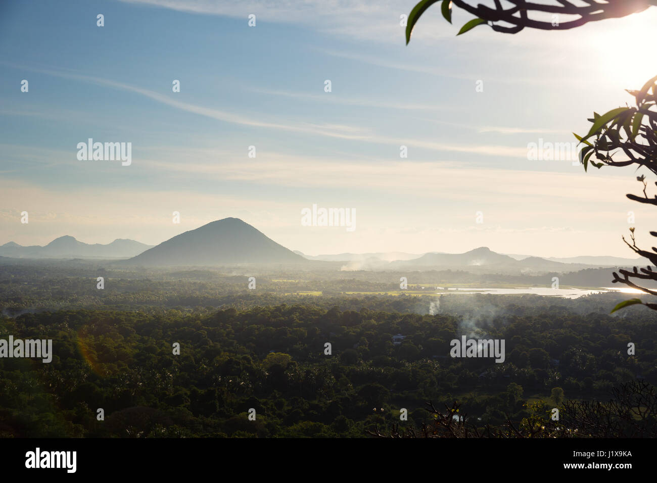 Ceylon nature hi-res stock photography and images - Alamy