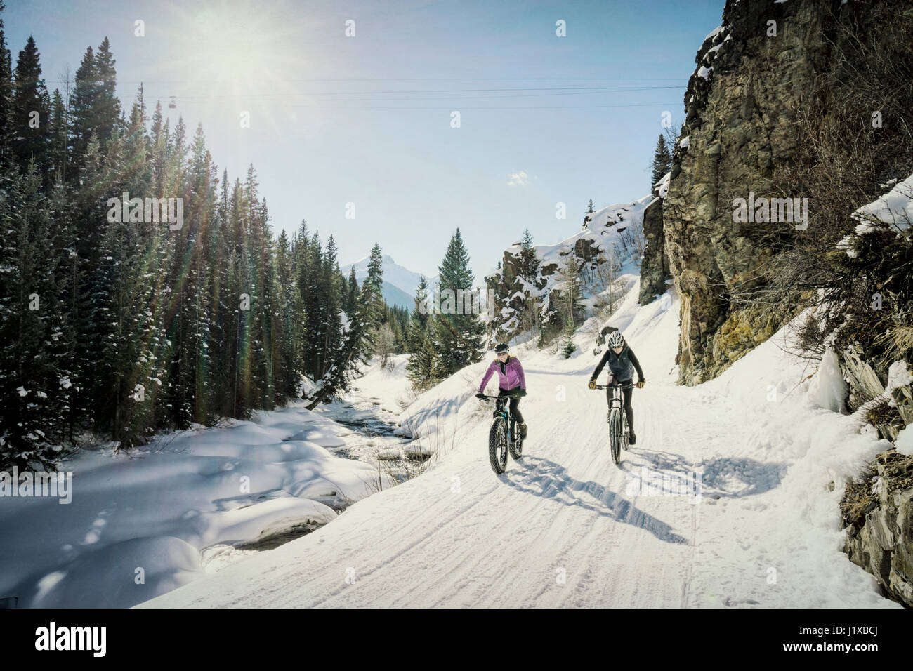 Unknown riders fat biking during the Silverton Whiteout Fat Bike race event, Silverton, CO Stock ...