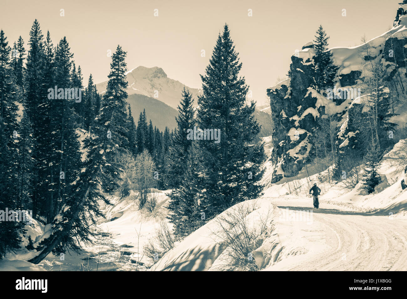 Unknown rider fat biking during the Silverton Whiteout Fat Bike race event, Silverton, CO Stock ...