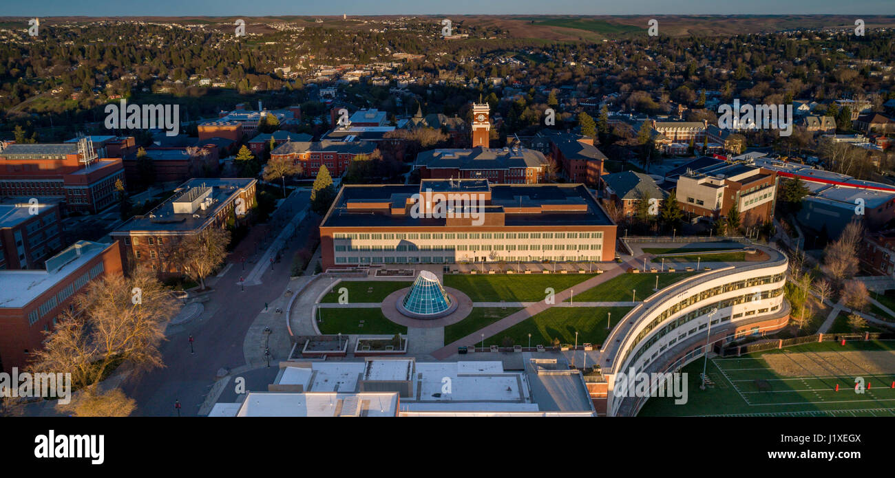 Wsu hi-res stock photography and images - Alamy