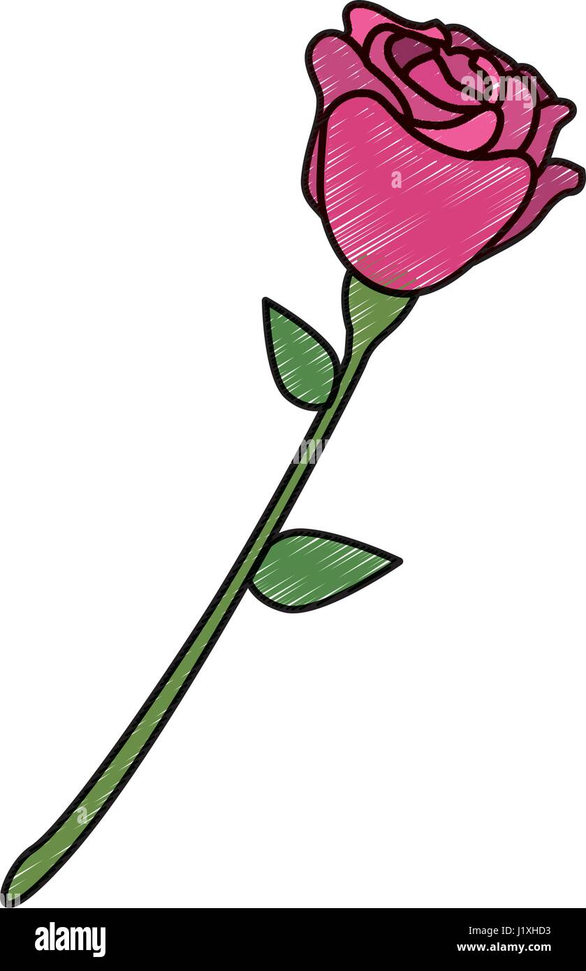 Beautiful flower ornament Stock Vector Image & Art - Alamy