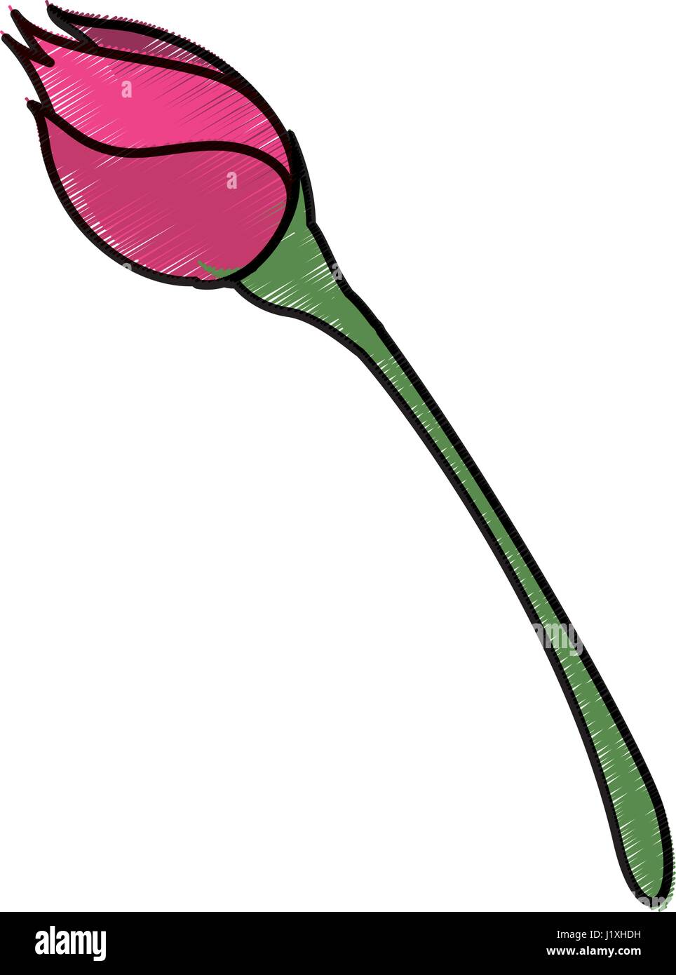 Beautiful flower ornament Stock Vector Image & Art - Alamy