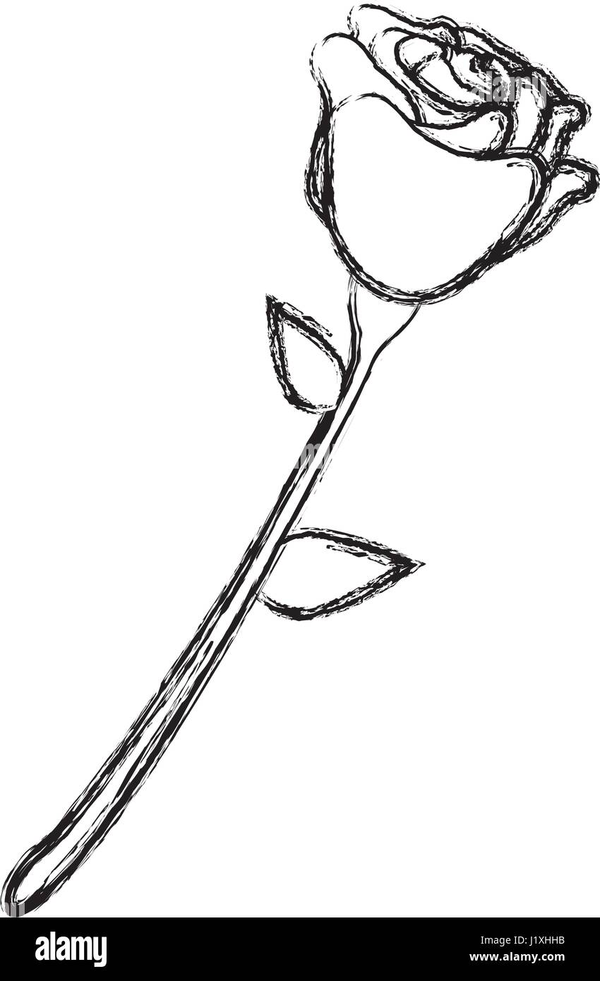 Beautiful flower ornament Stock Vector Image & Art - Alamy