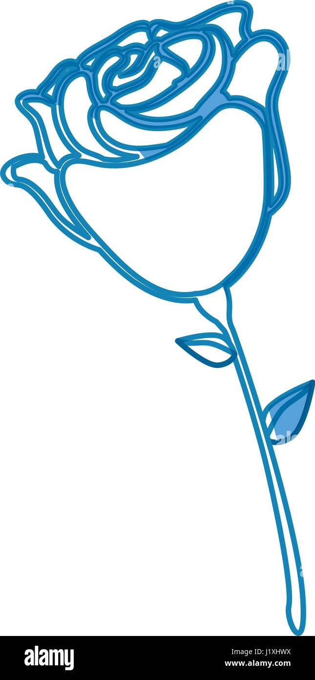 Beautiful flower ornament Stock Vector Image & Art - Alamy