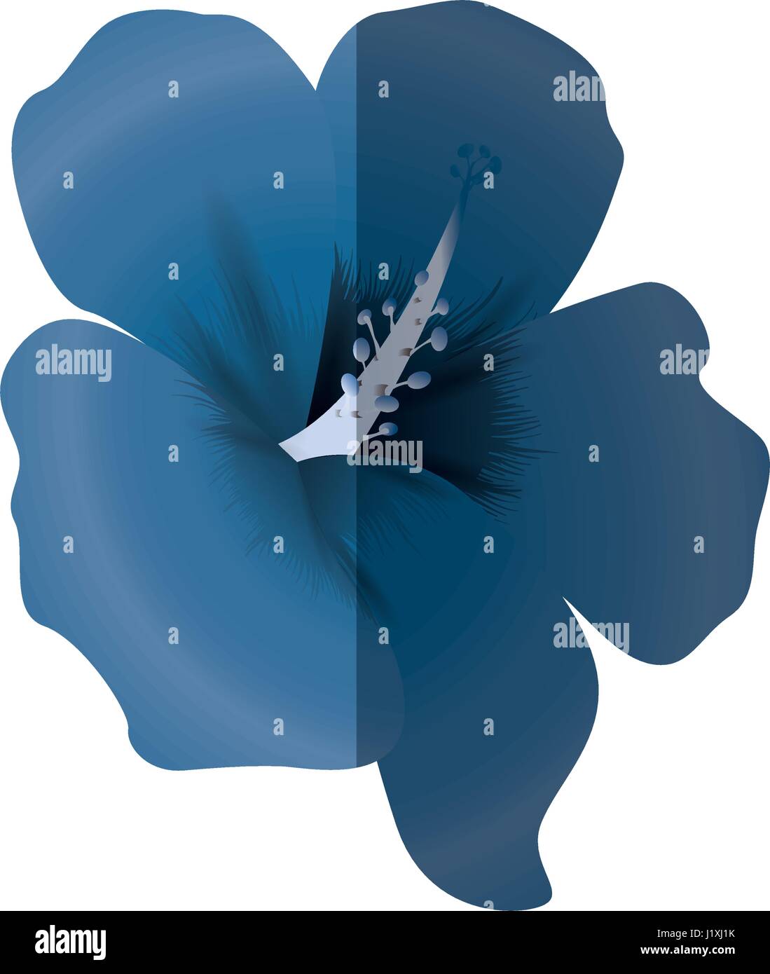 Beautiful flower ornament Stock Vector Image & Art - Alamy