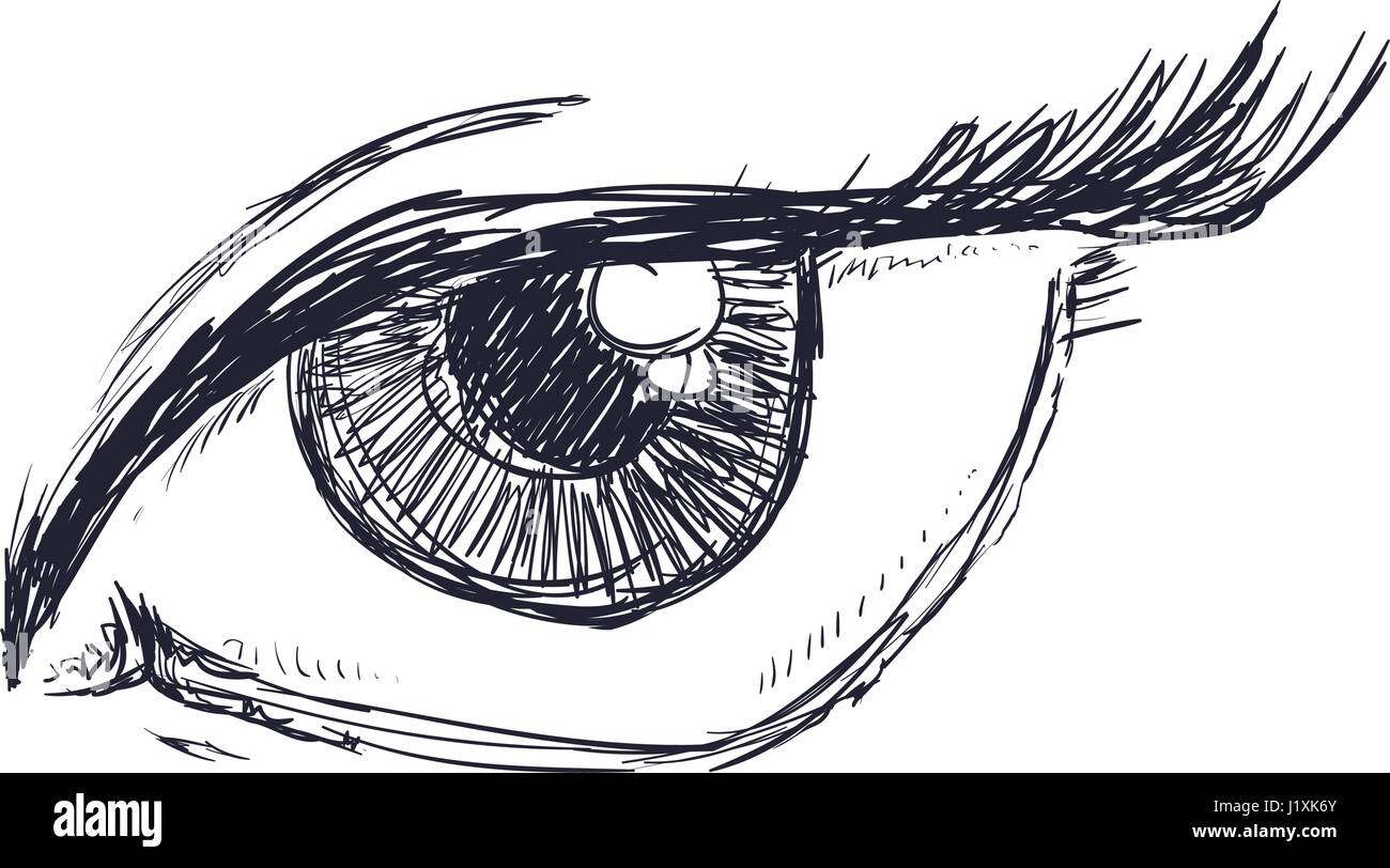 Eyeball Drawing Stock Photos & Eyeball Drawing Stock Images - Alamy
