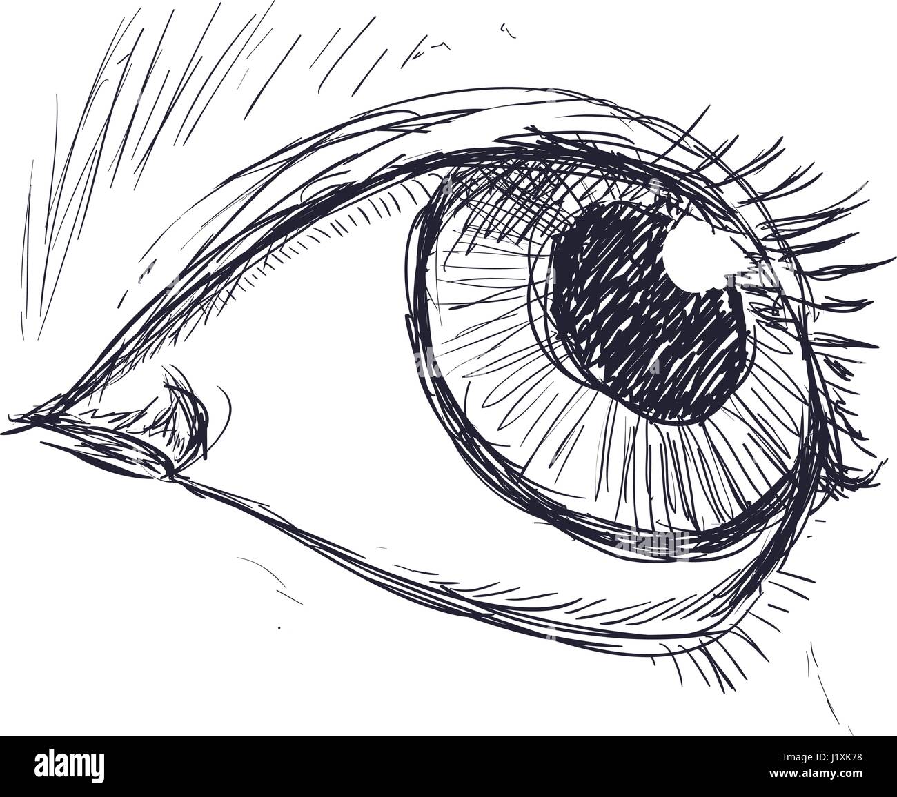 Eyeball Drawing Stock Photos & Eyeball Drawing Stock Images - Alamy