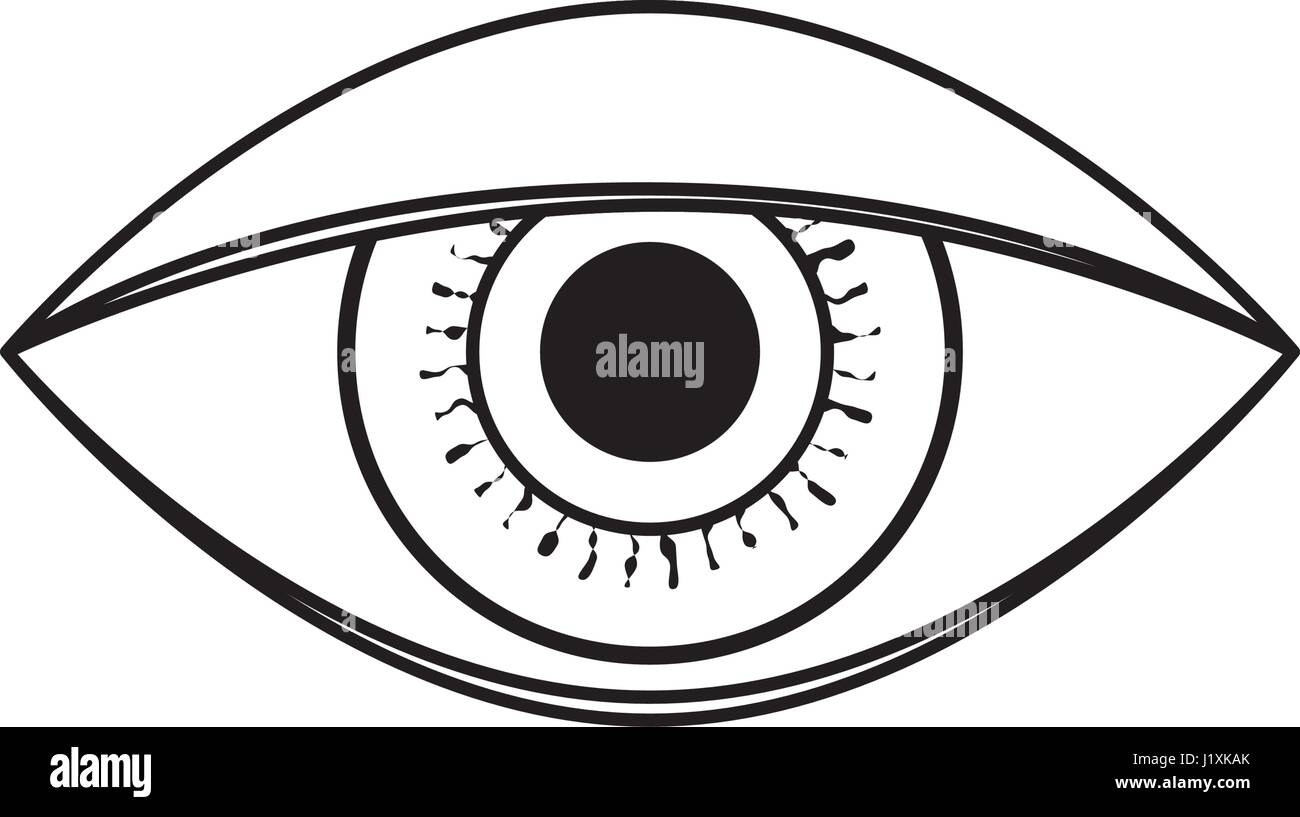 Human eye symbol Stock Vector Image & Art - Alamy