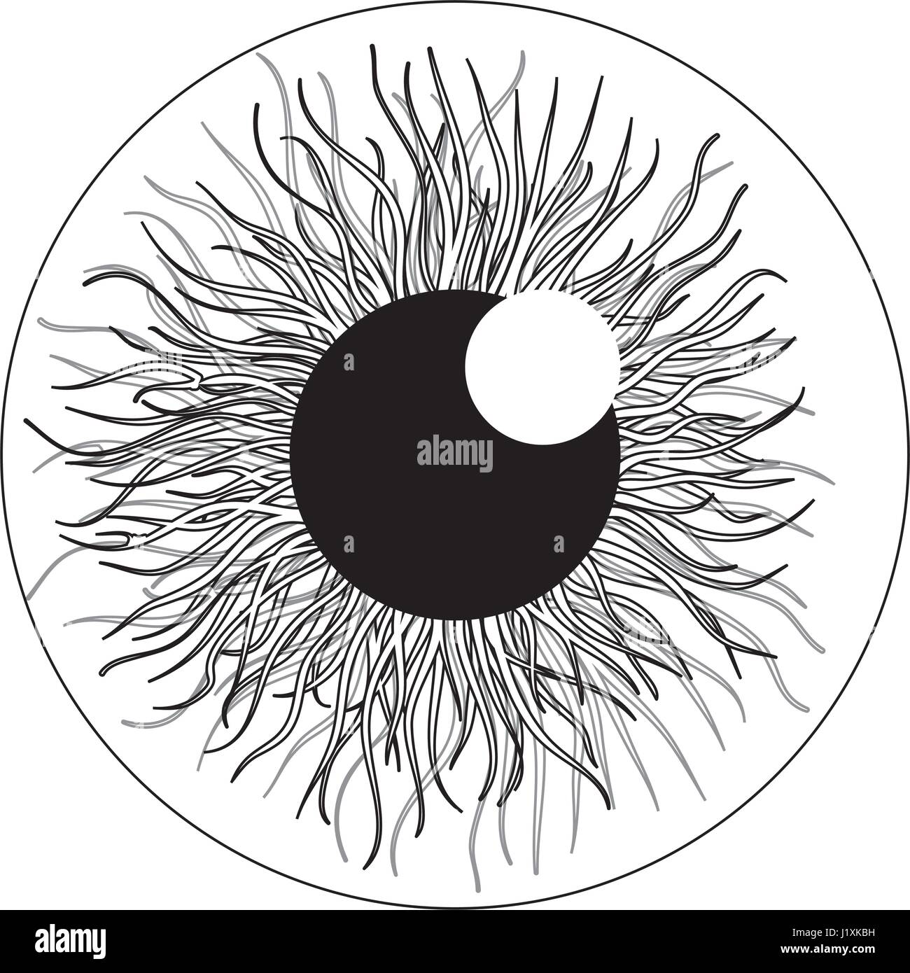 Human eye symbol Stock Vector Image & Art - Alamy