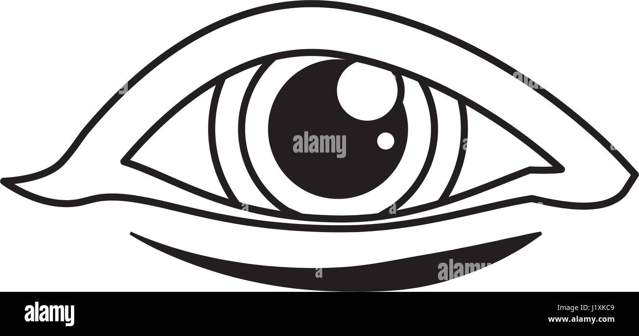 Human eye symbol Stock Vector Image & Art - Alamy