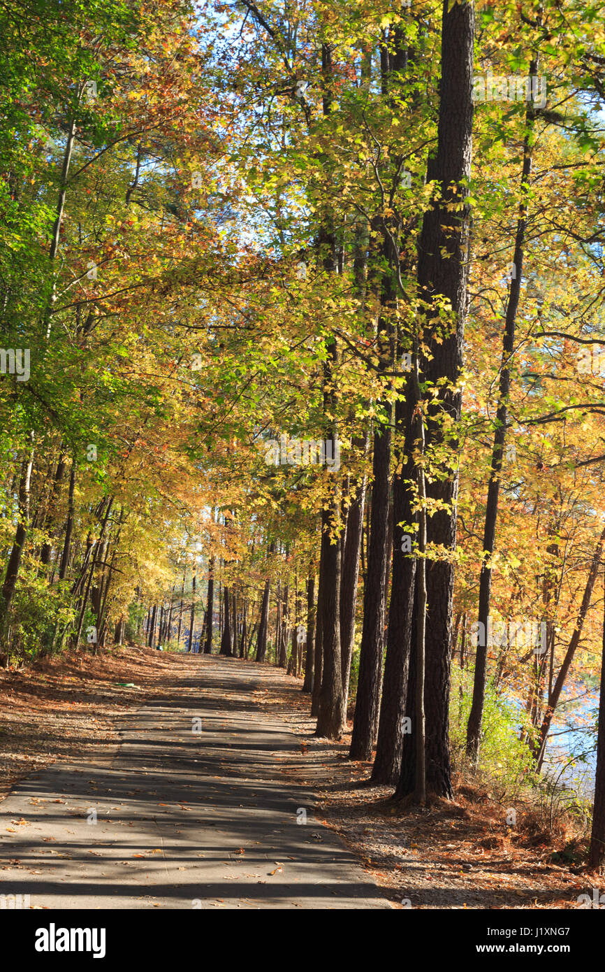 Walking path in Lake johnson park of Raleigh, NC Stock Photo - Alamy