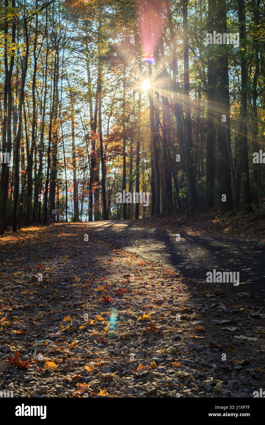 Walking path in Lake johnson park of Raleigh, NC Stock Photo - Alamy