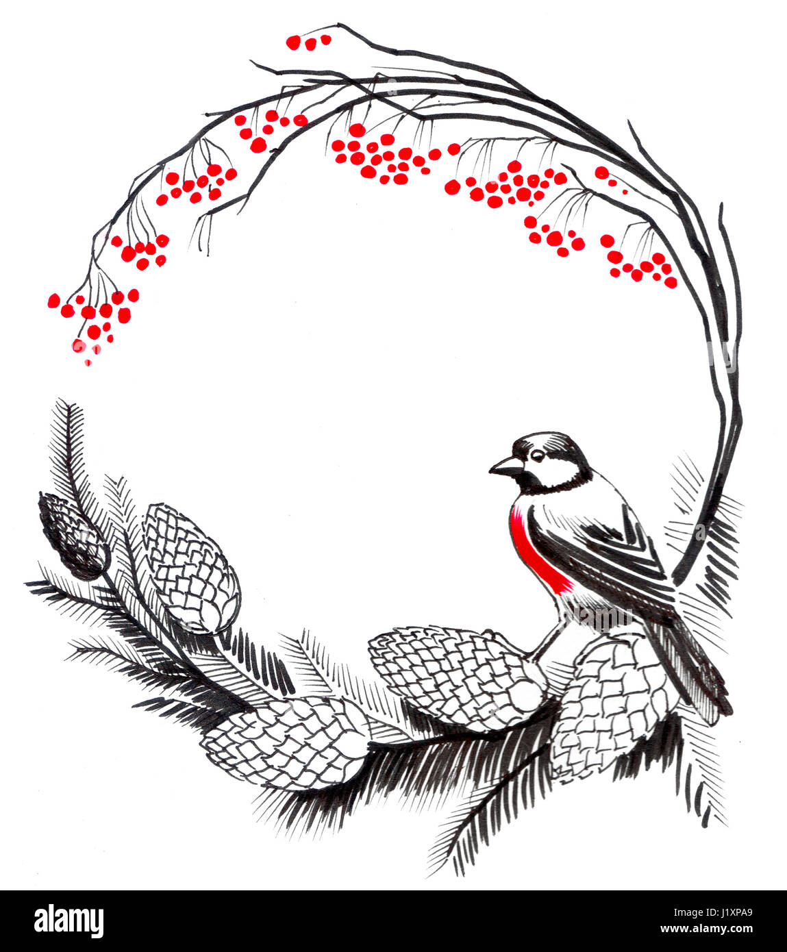 Robin bird on tree Cut Out Stock Images & Pictures - Alamy