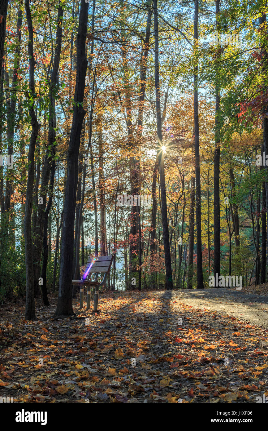 Walking path in Lake johnson park of Raleigh, NC Stock Photo - Alamy
