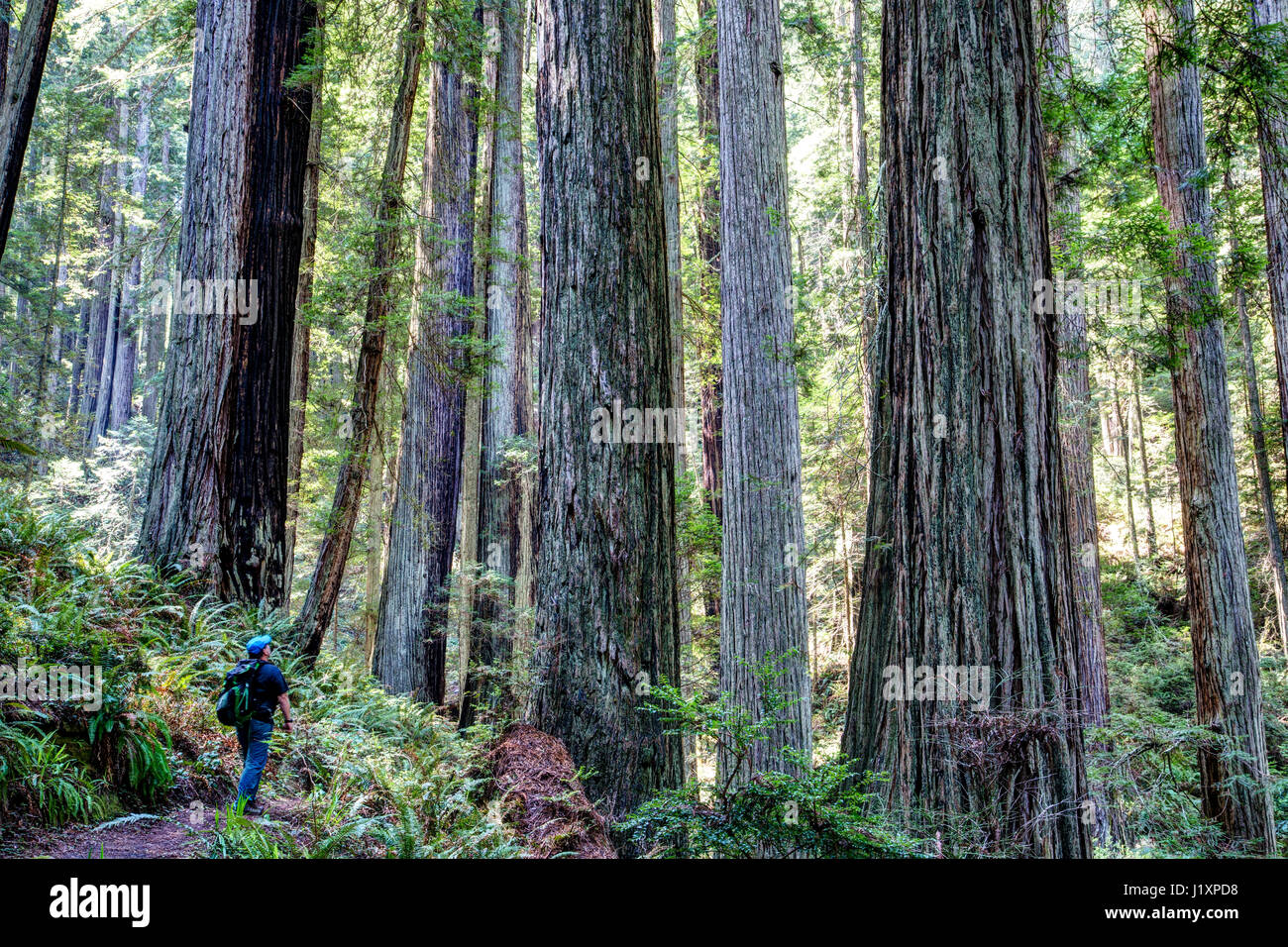 Worlds giant ecosystem hi-res stock photography and images - Alamy