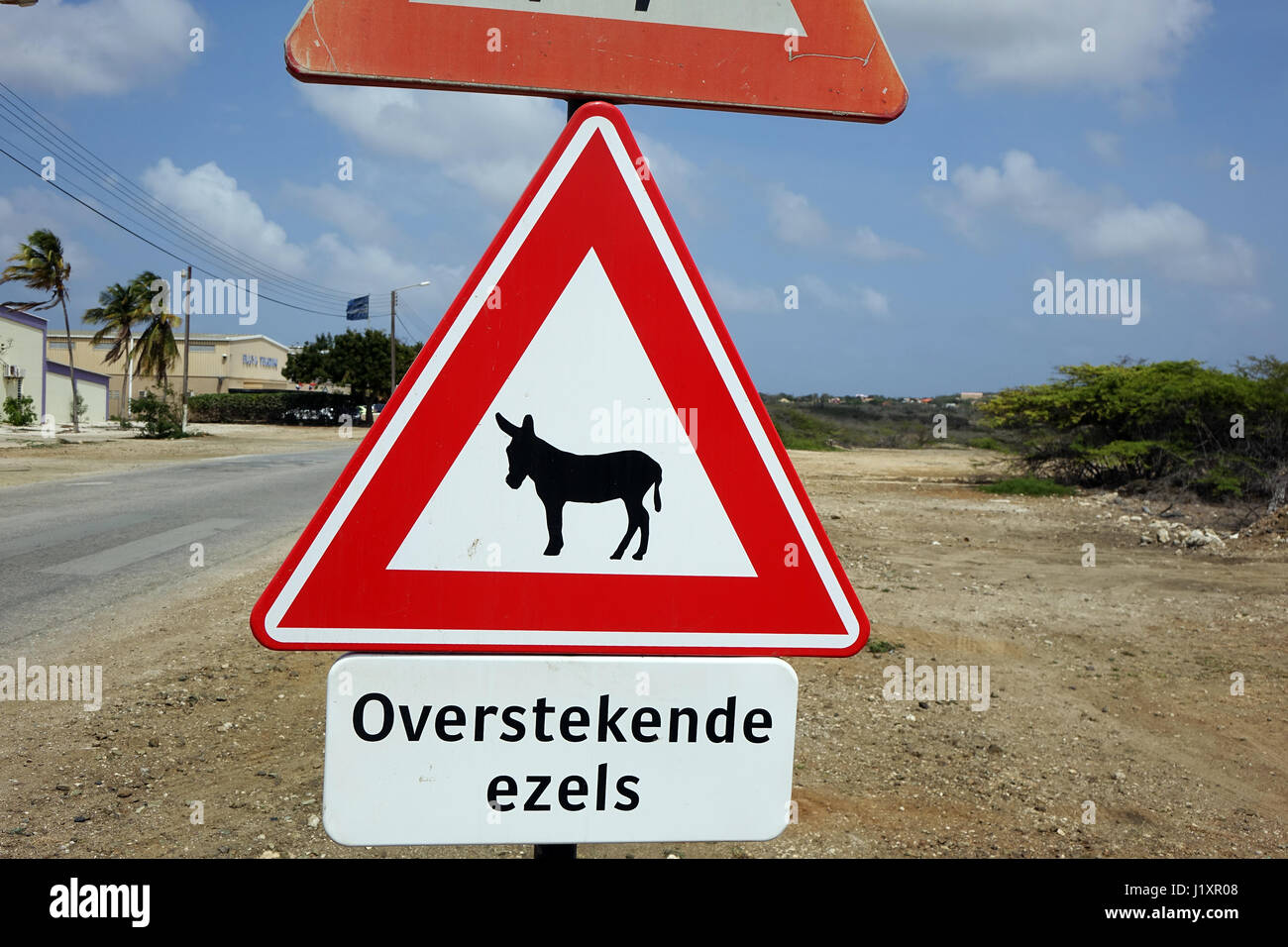 Unusual street sign, donkeys Equus asinus crossing, Bonaire, island ...