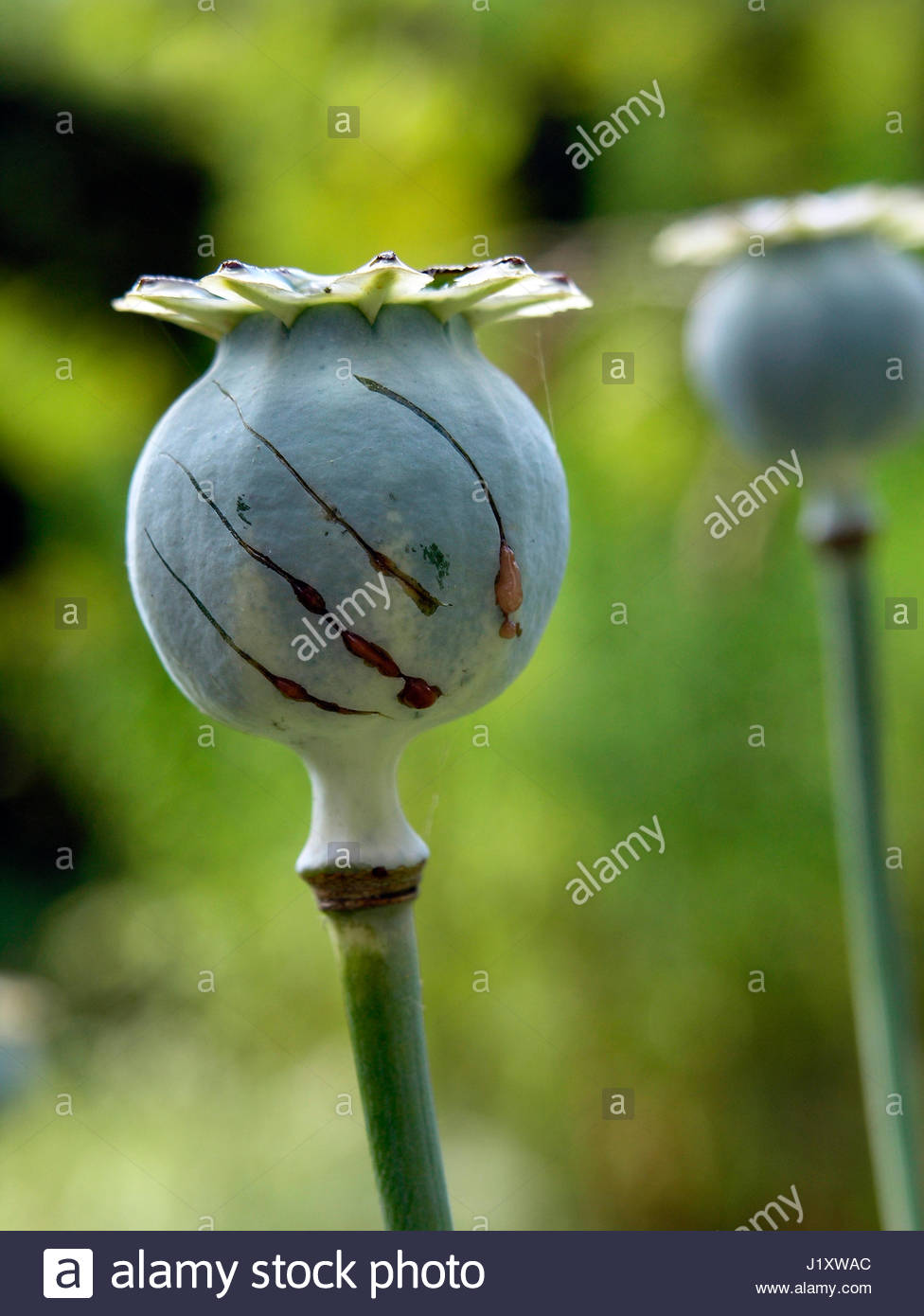 Methods Stock Photos & Methods Stock Images - Alamy