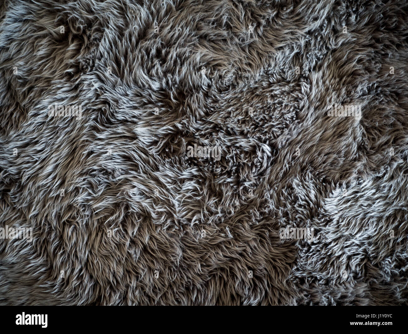 Grey Sheepskin Rug Texture Stock Photo - Alamy