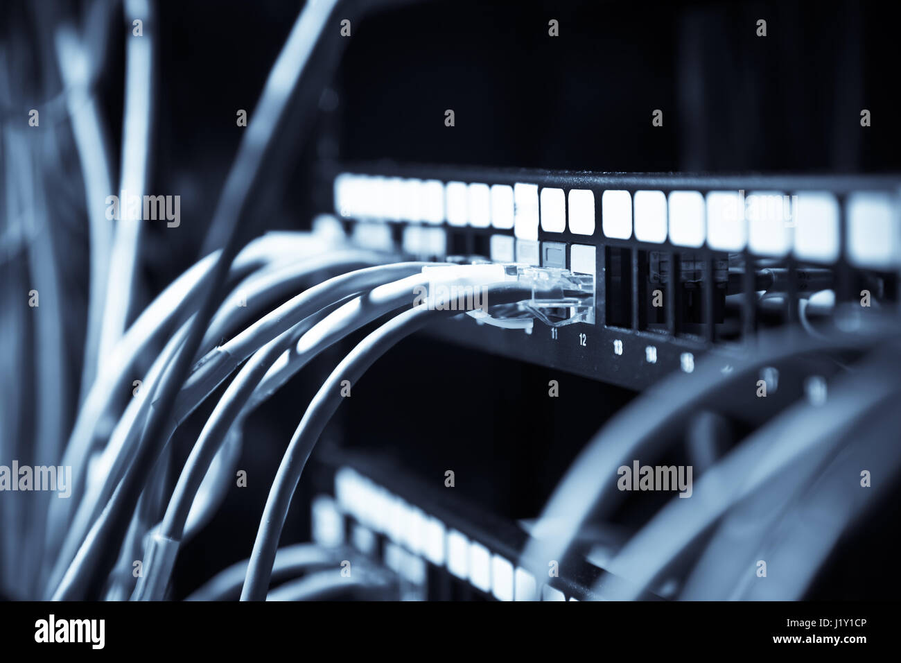 A shot of network cables connected to switches in a data center (in ...