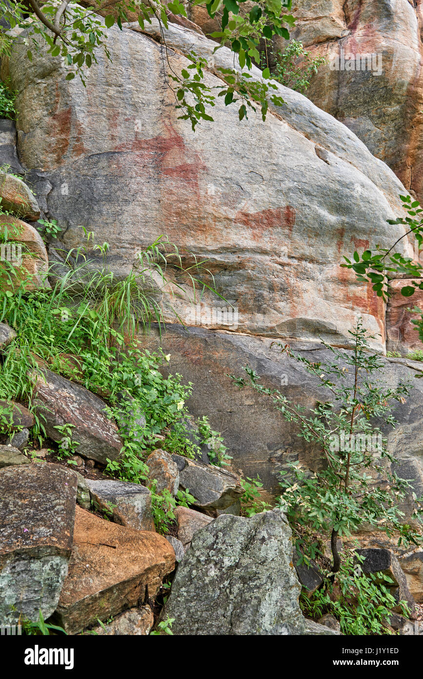 Rock art, ancient San paintings, Tsodilo Hills, Botswana, Africa Stock ...