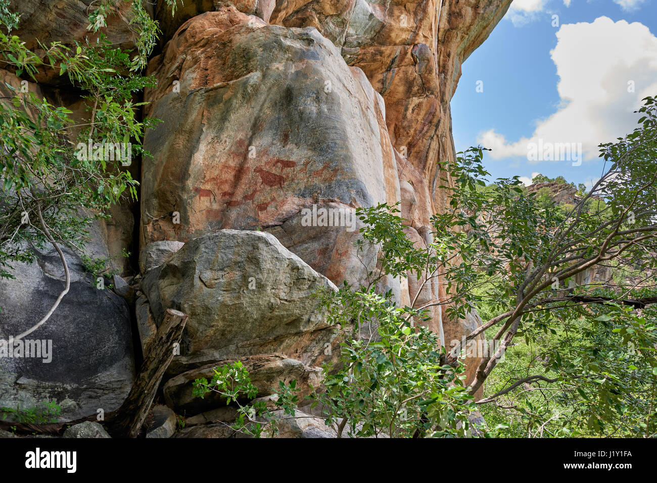Rock art, ancient San paintings, Tsodilo Hills, Botswana, Africa Stock ...