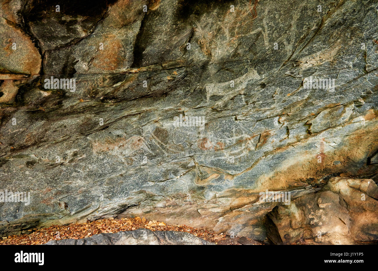 Rock art, ancient San paintings, Tsodilo Hills, Botswana, Africa Stock ...