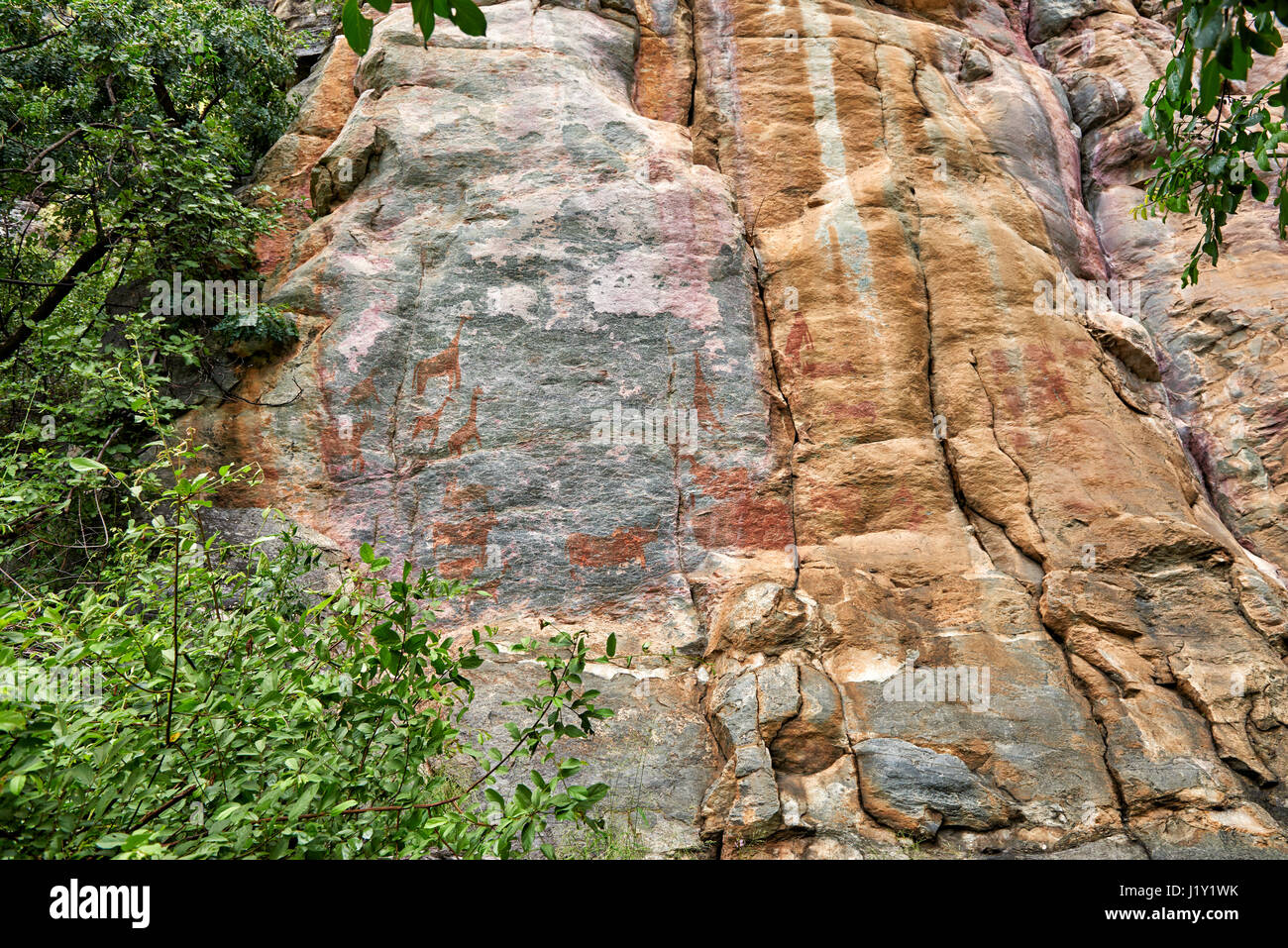 Rock art, ancient San paintings, Tsodilo Hills, Botswana, Africa Stock ...