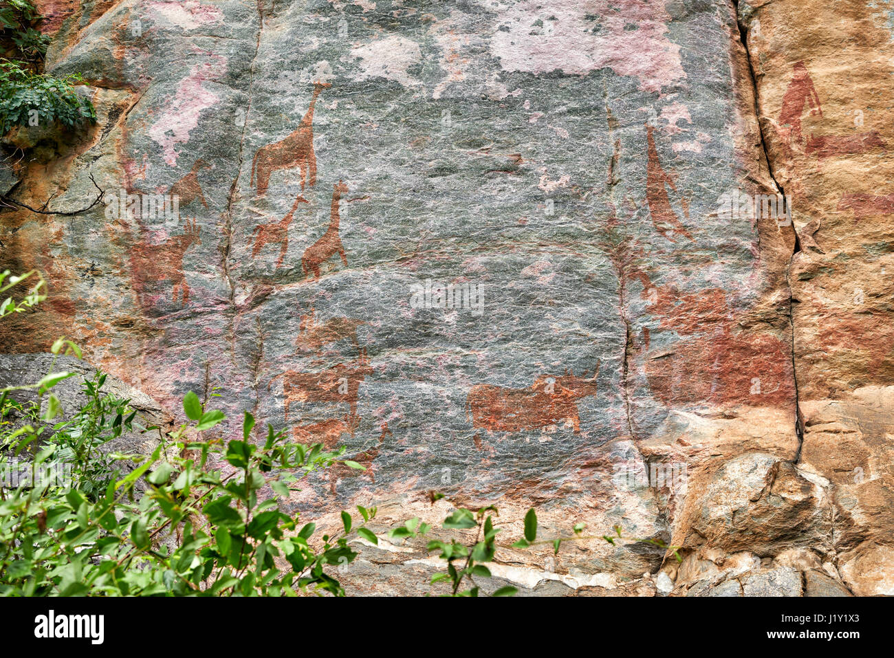Rock art, ancient San paintings, Tsodilo Hills, Botswana, Africa Stock ...