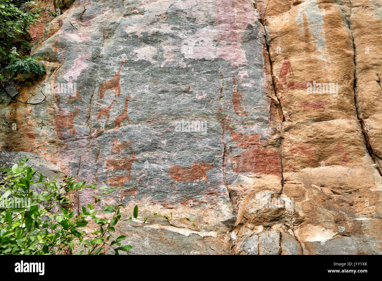 Rock art, ancient San paintings, Tsodilo Hills, Botswana, Africa Stock ...