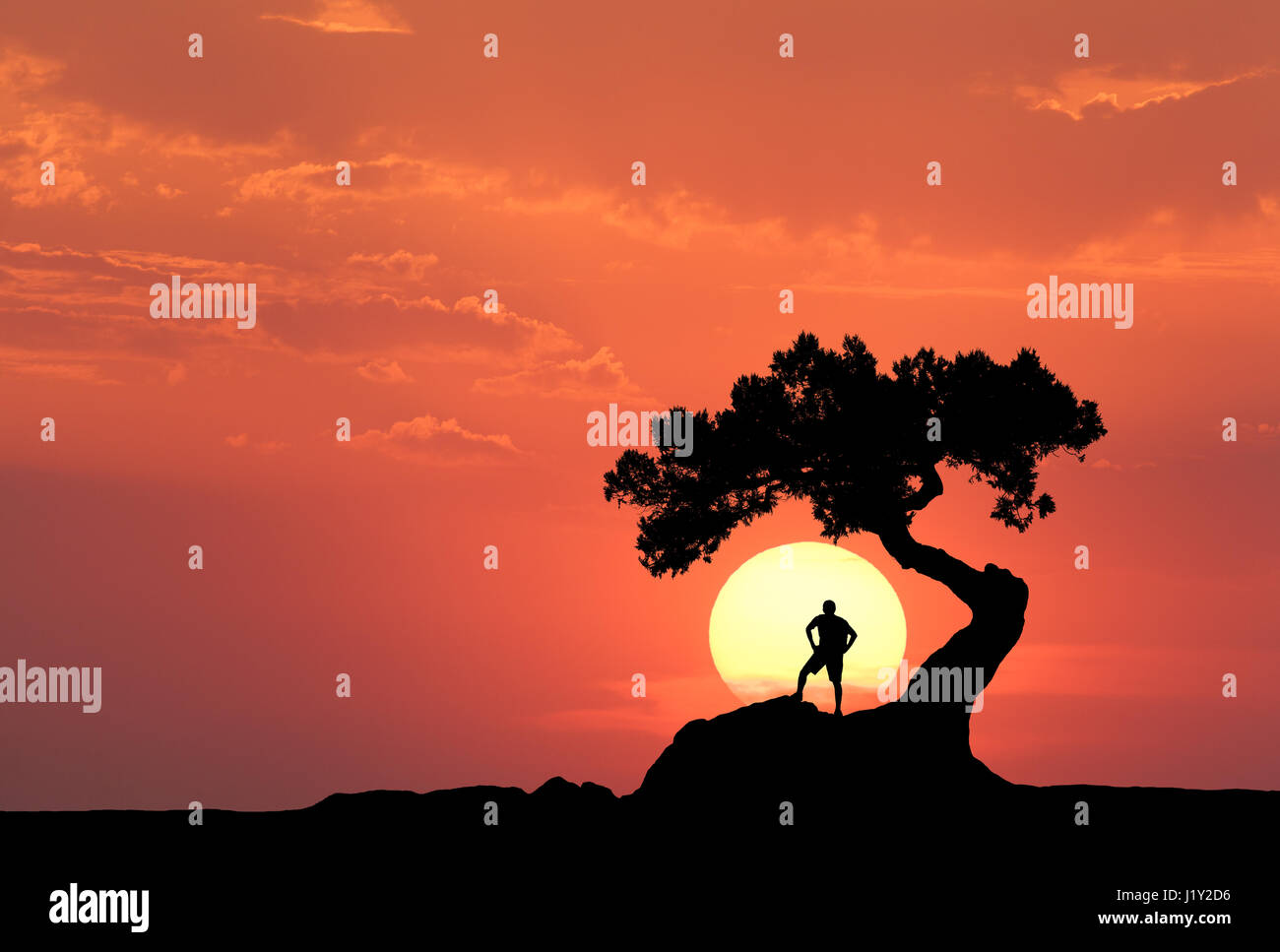 Man under the old tree on the background of yellow sun. Silhouette of a ...