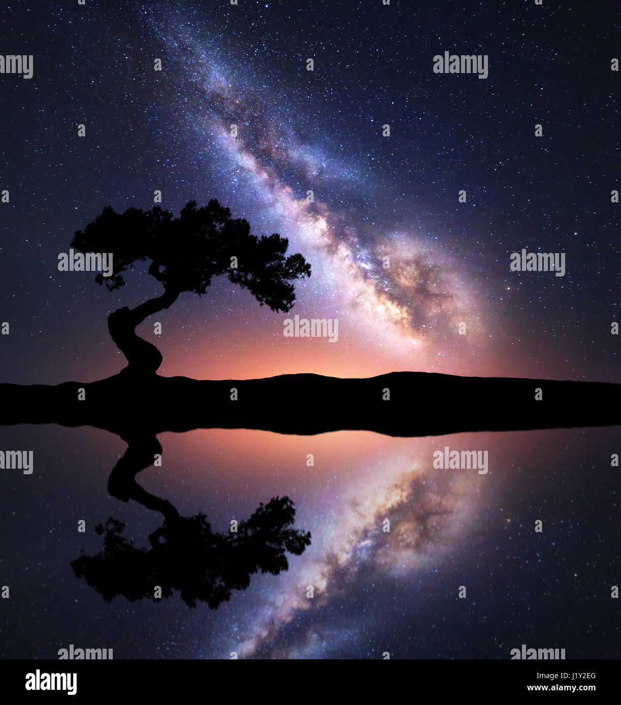 Milky Way with alone tree on the hill near the lake with sky reflection ...