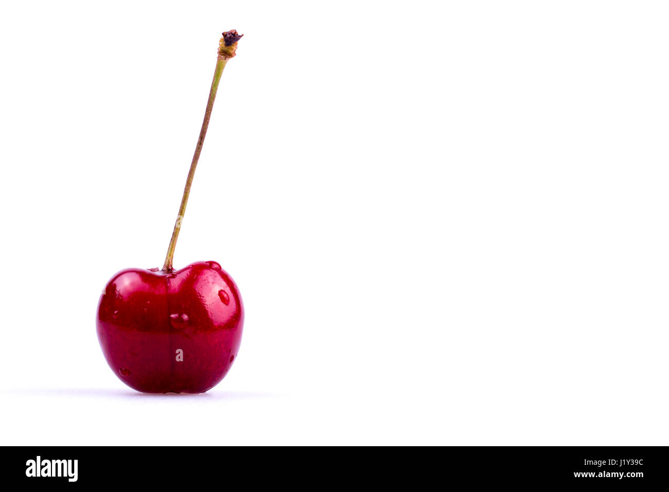 Single cherry on white background Stock Photo - Alamy