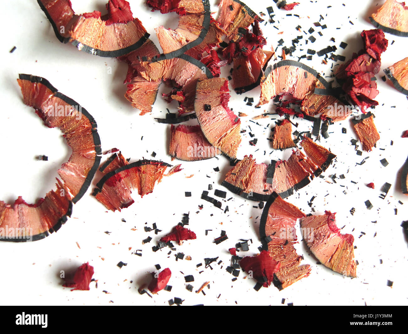 Pencil Sharpener Waste Art