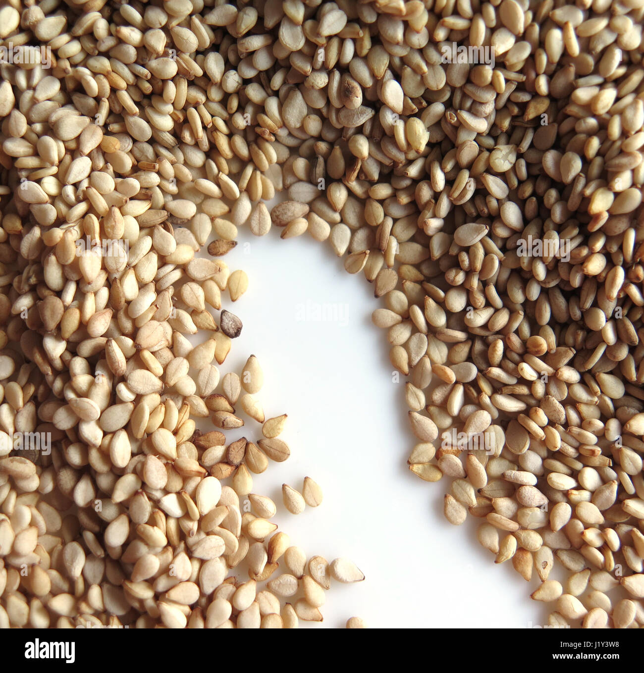 background of sesame seeds on a white background Stock Photo - Alamy