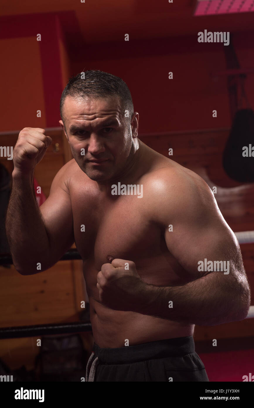 professional kickboxer with hands in martial arts position training for ...