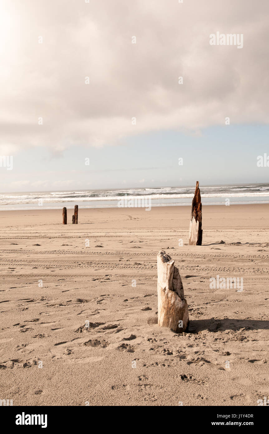 Deserted beach, remains of posts in sand, Oregon