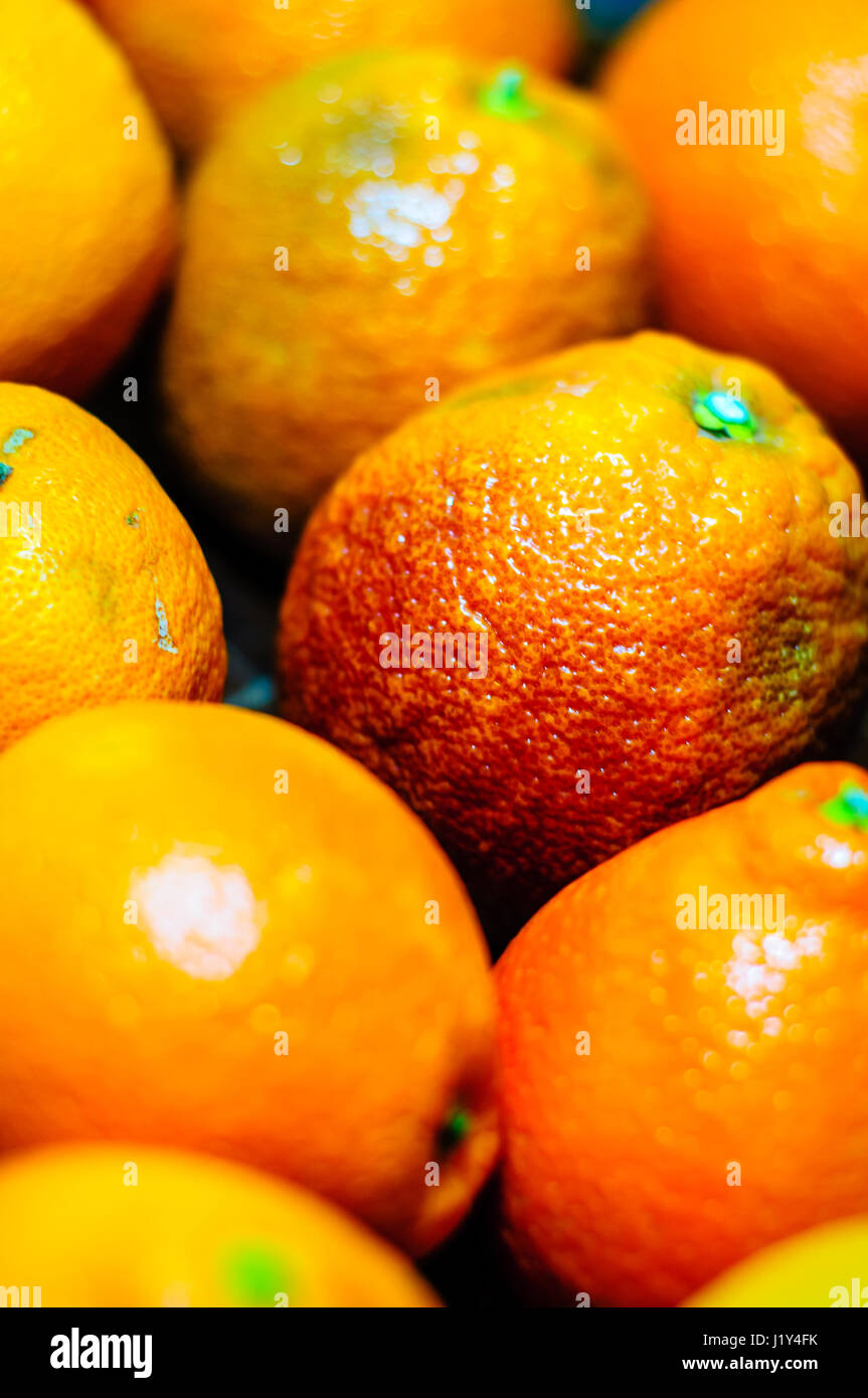 Selection of oranges, close-up Stock Photo - Alamy