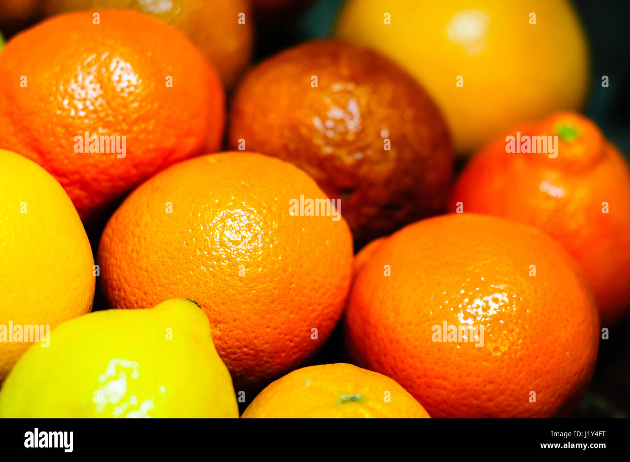 Selection of citrus fruit, close-up Stock Photo - Alamy