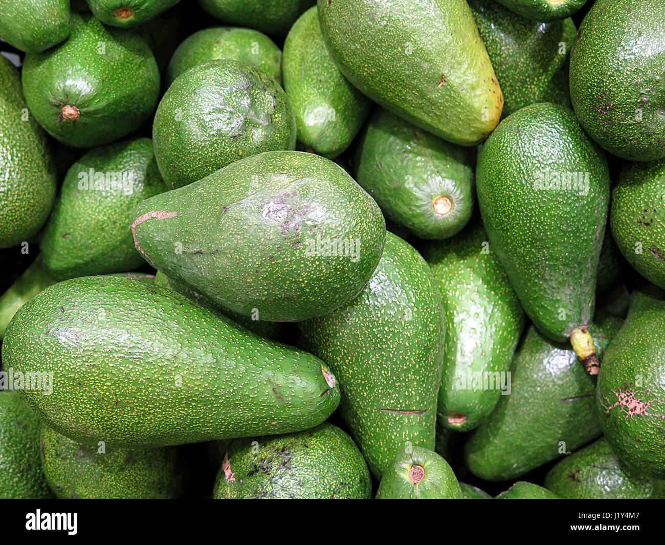 Many avocado hi-res stock photography and images - Alamy