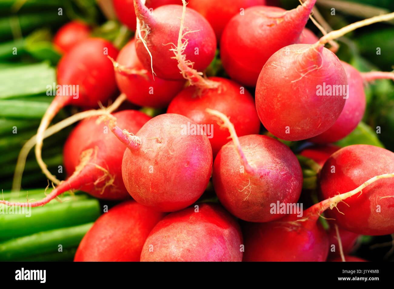 Bunch of radishes, close-up Stock Photo - Alamy