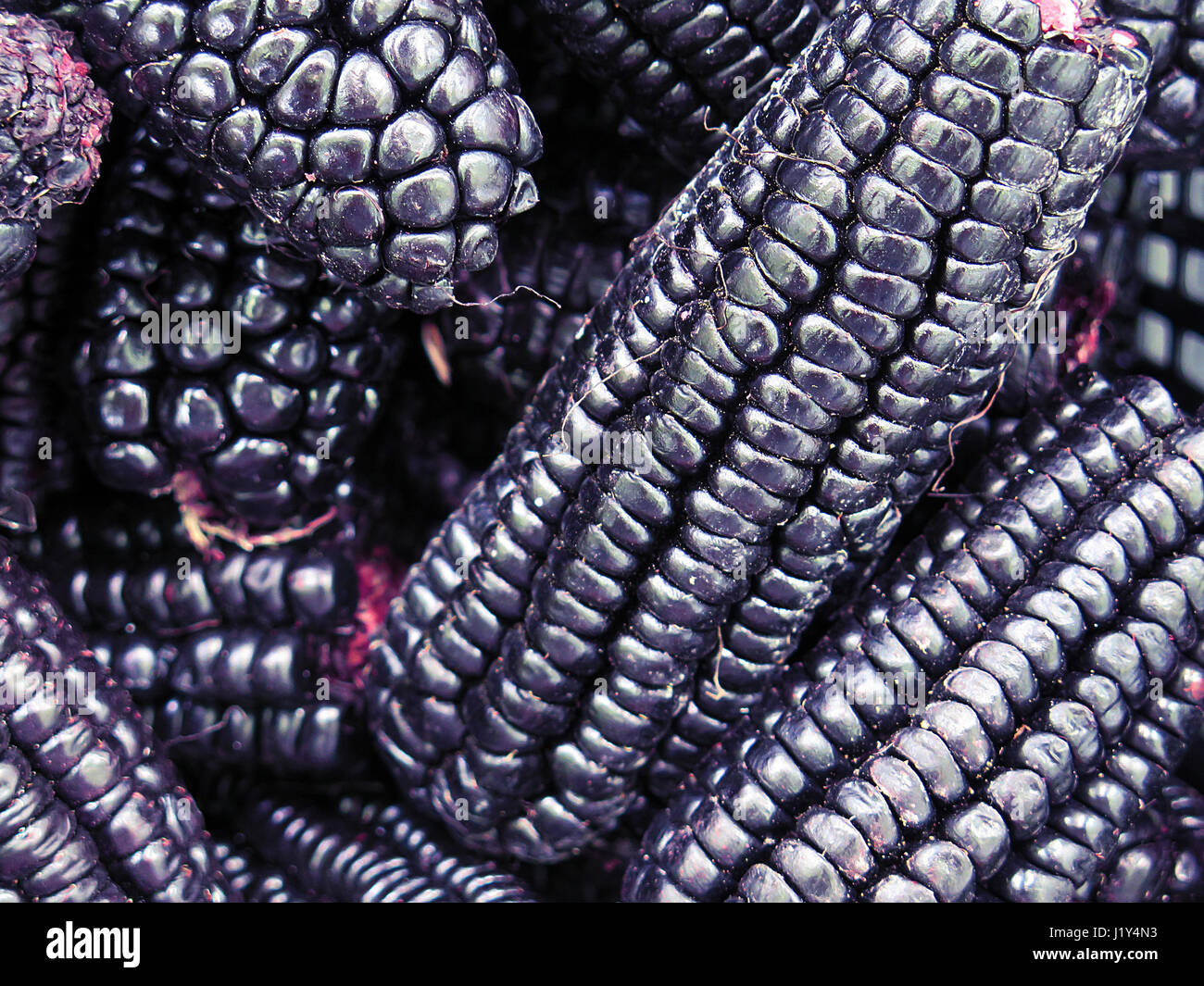 Purple chicha hi-res stock photography and images - Alamy