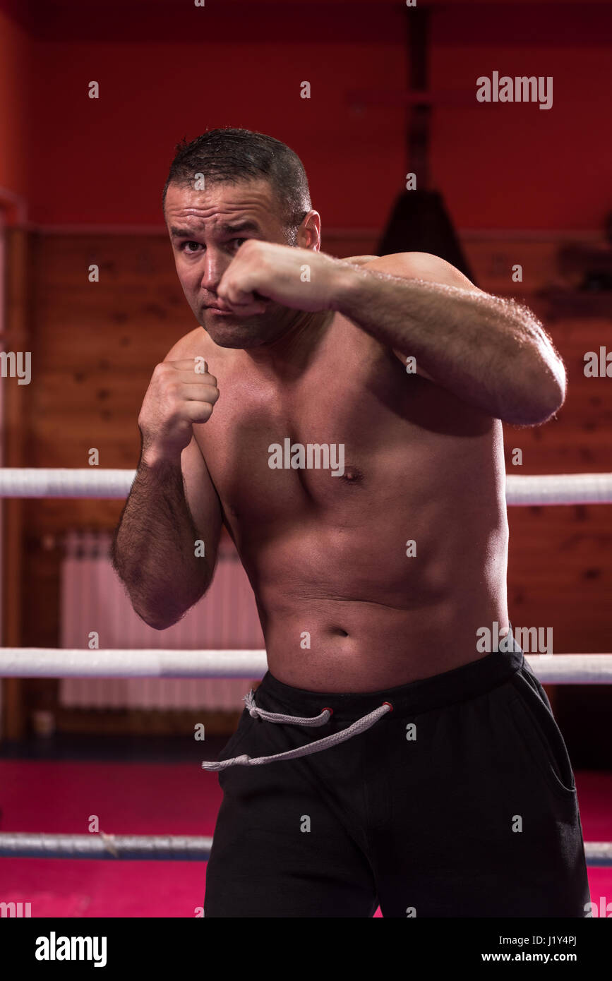 professional kickboxer with hands in martial arts position training for ...