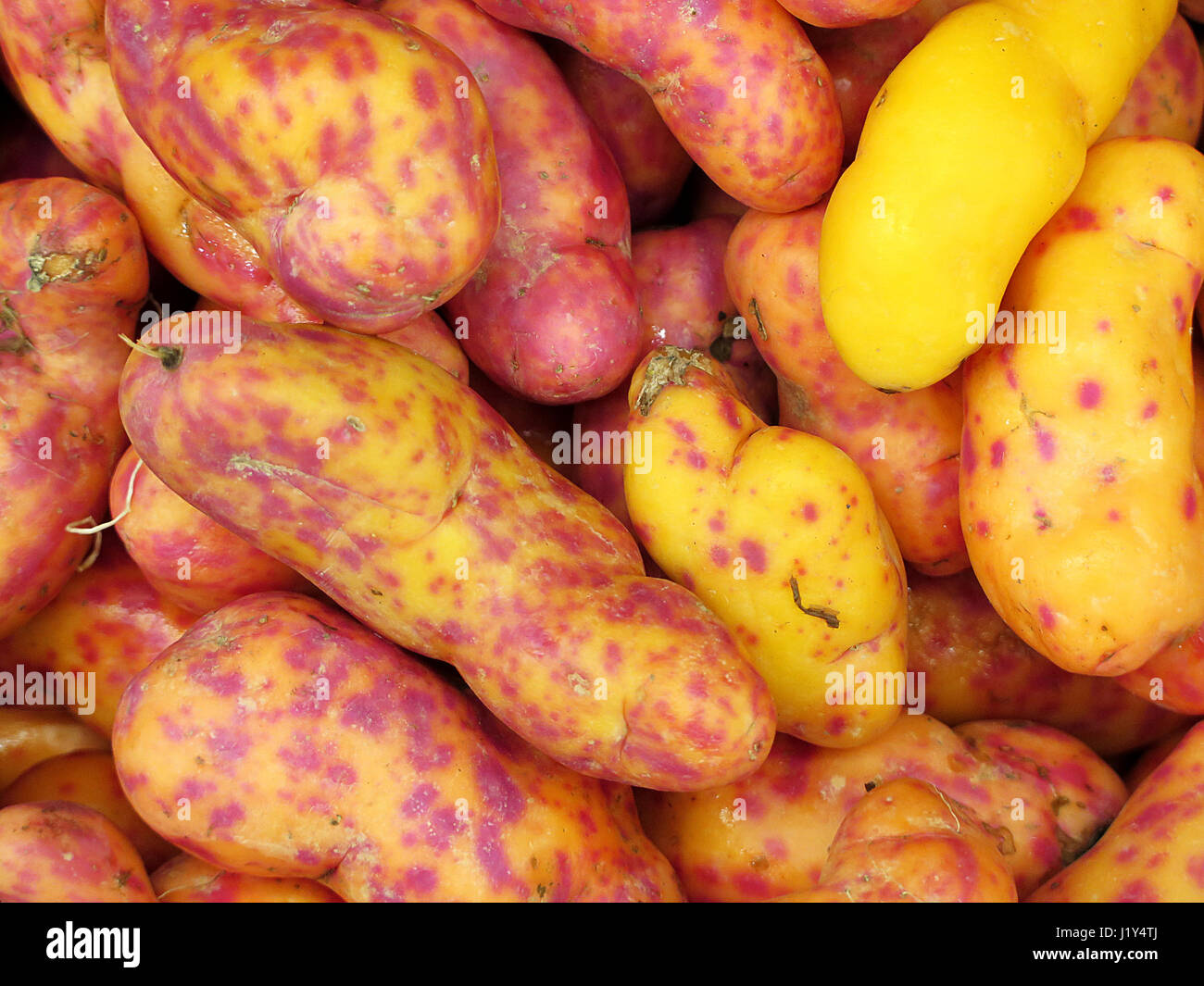 Olluco hi-res stock photography and images - Alamy