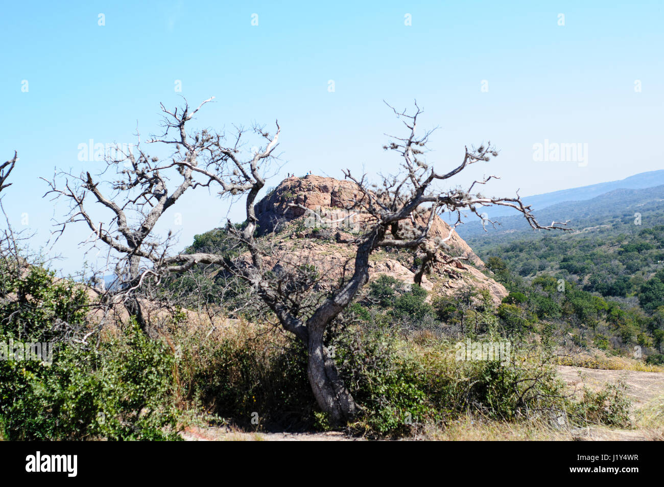 Red granite of Enchanted Rock near the Edwards Plateau in the Texas ...