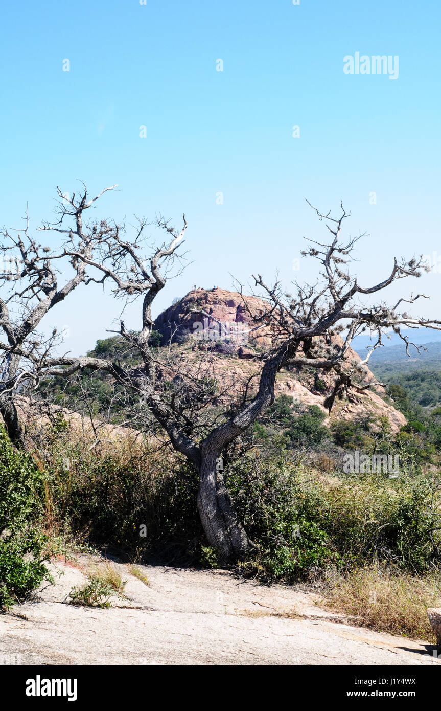 Red granite of Enchanted Rock near the Edwards Plateau in the Texas ...