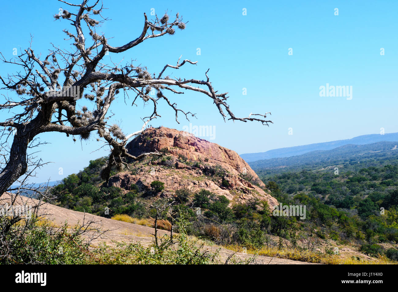 Red granite of Enchanted Rock near the Edwards Plateau in the Texas ...
