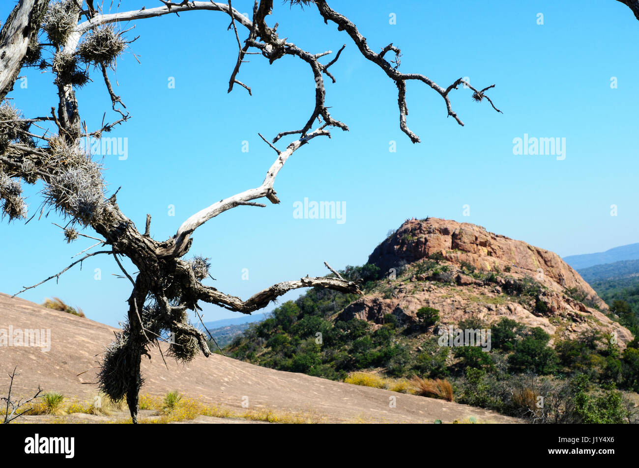 Edwards plateau landscape hi-res stock photography and images - Alamy