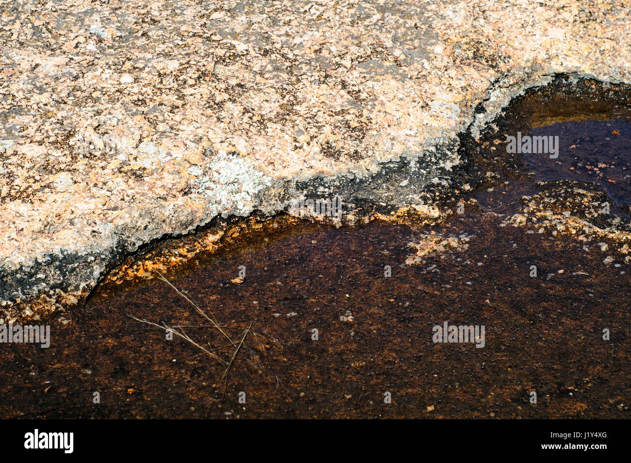 Red granite of Enchanted Rock near the Edwards Plateau in the Texas ...