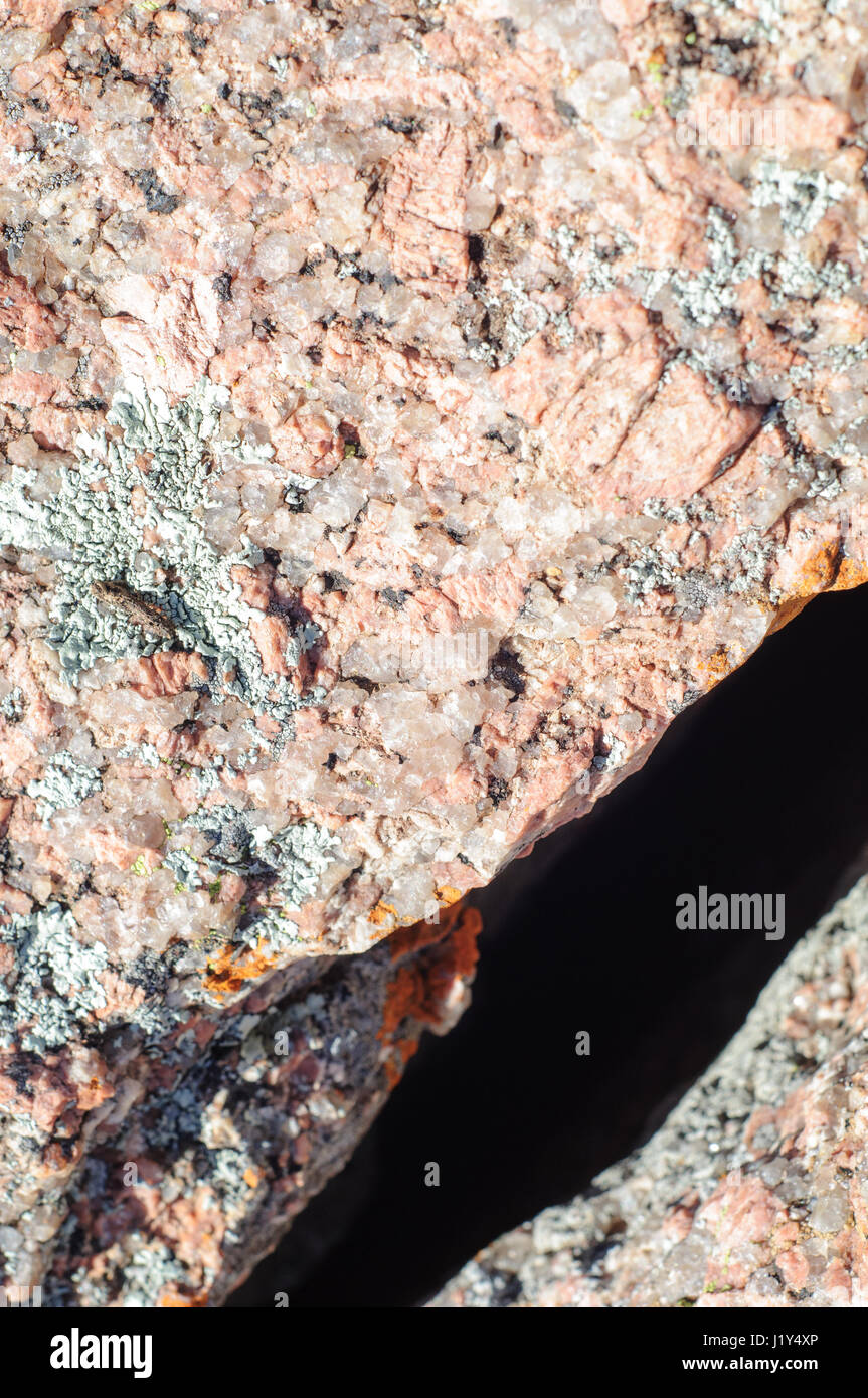 Red granite of Enchanted Rock near the Edwards Plateau in the Texas ...